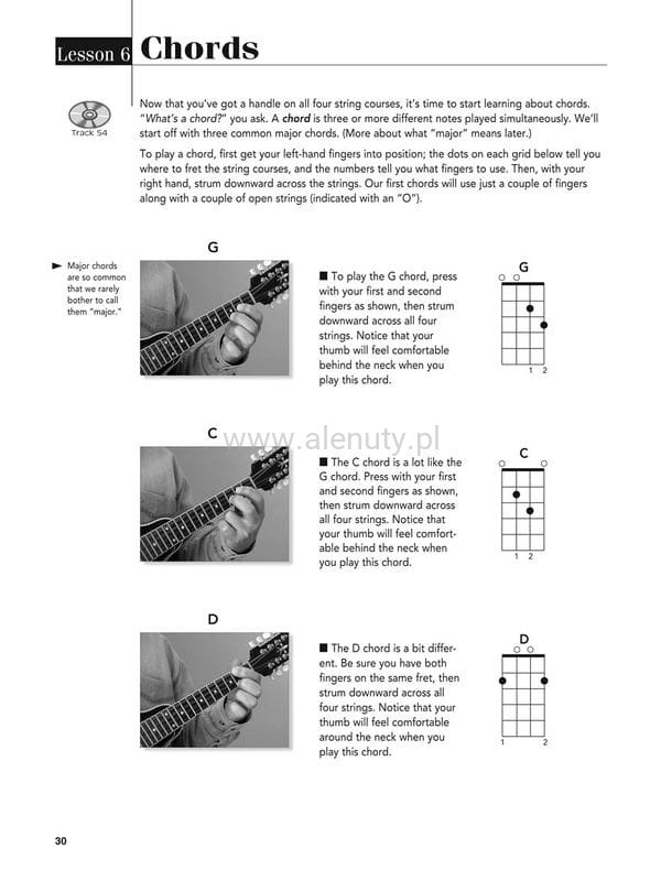 Play Mandolin Today! Level 1 - Douglas Baldwin - szkoła gry na ...